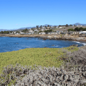 Fiscalini Ranch–North Entrance • Visit Cambria | CA