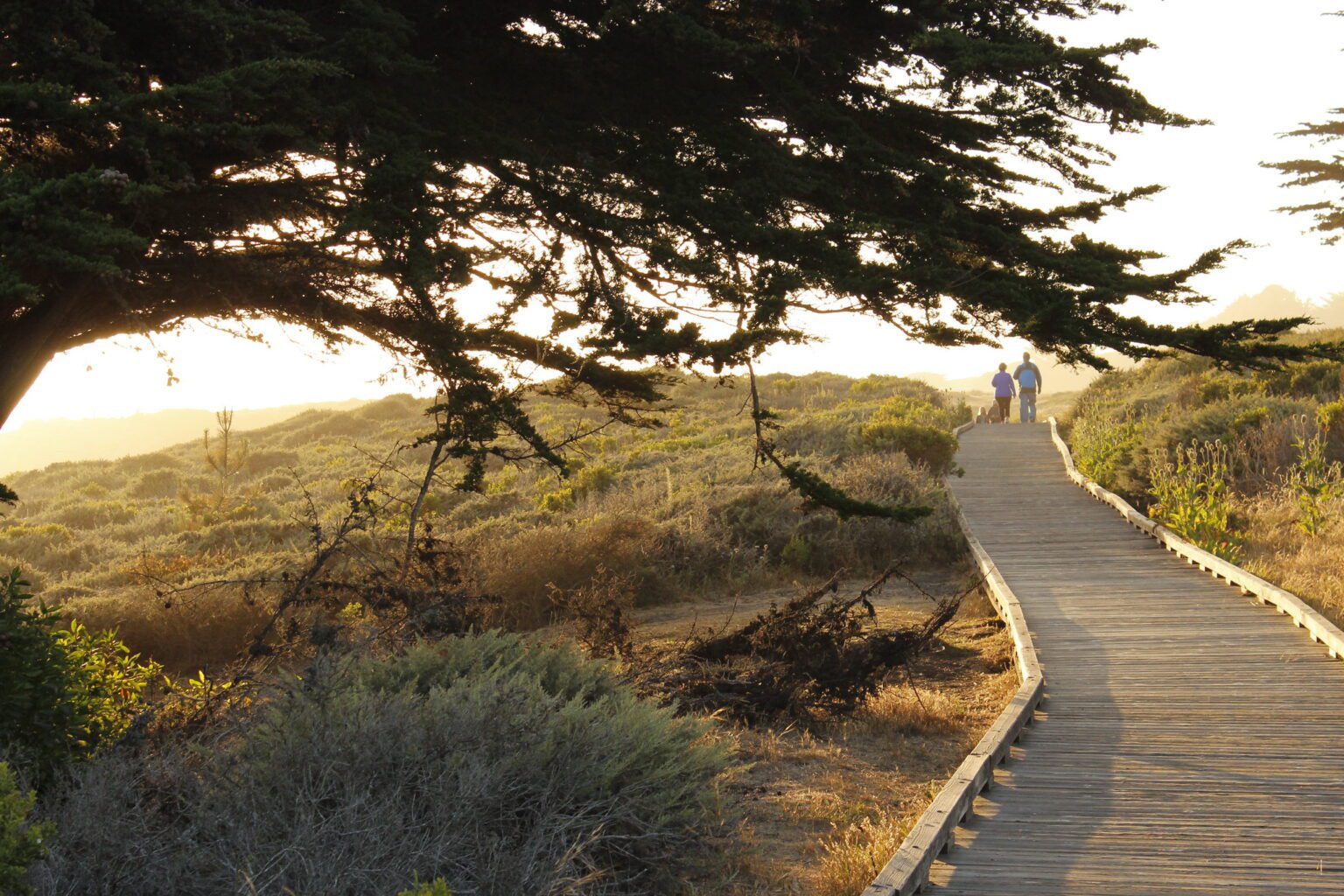 Fun for Free in Cambria, CA - Visit Cambria | CA