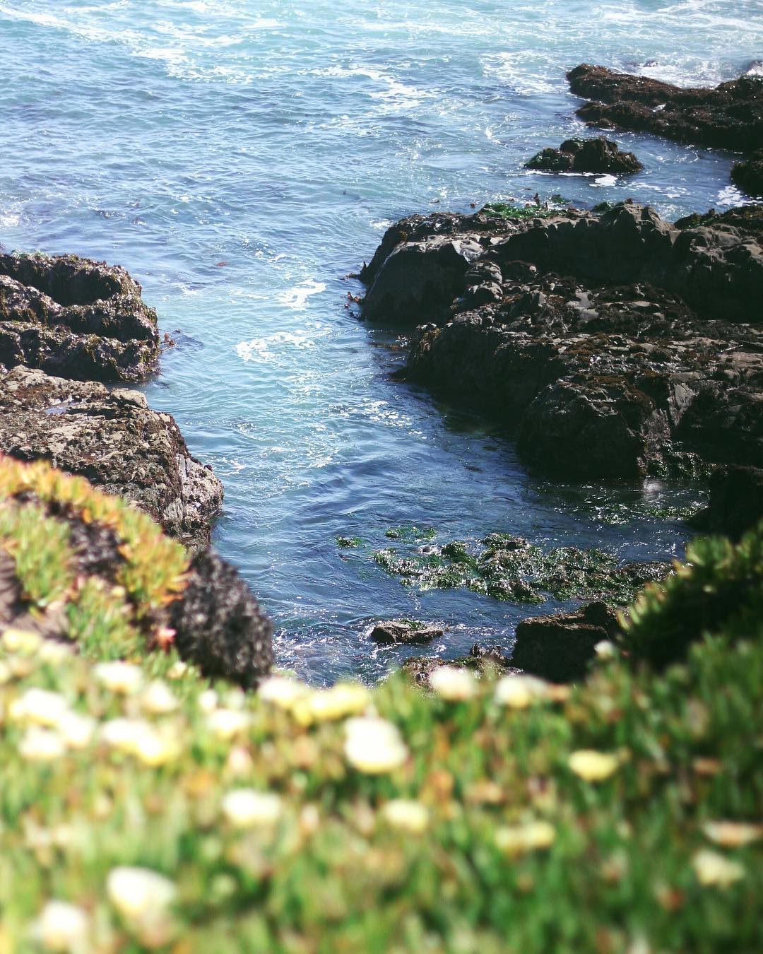 Cambria: Adventure & Relaxation on the Central Coast