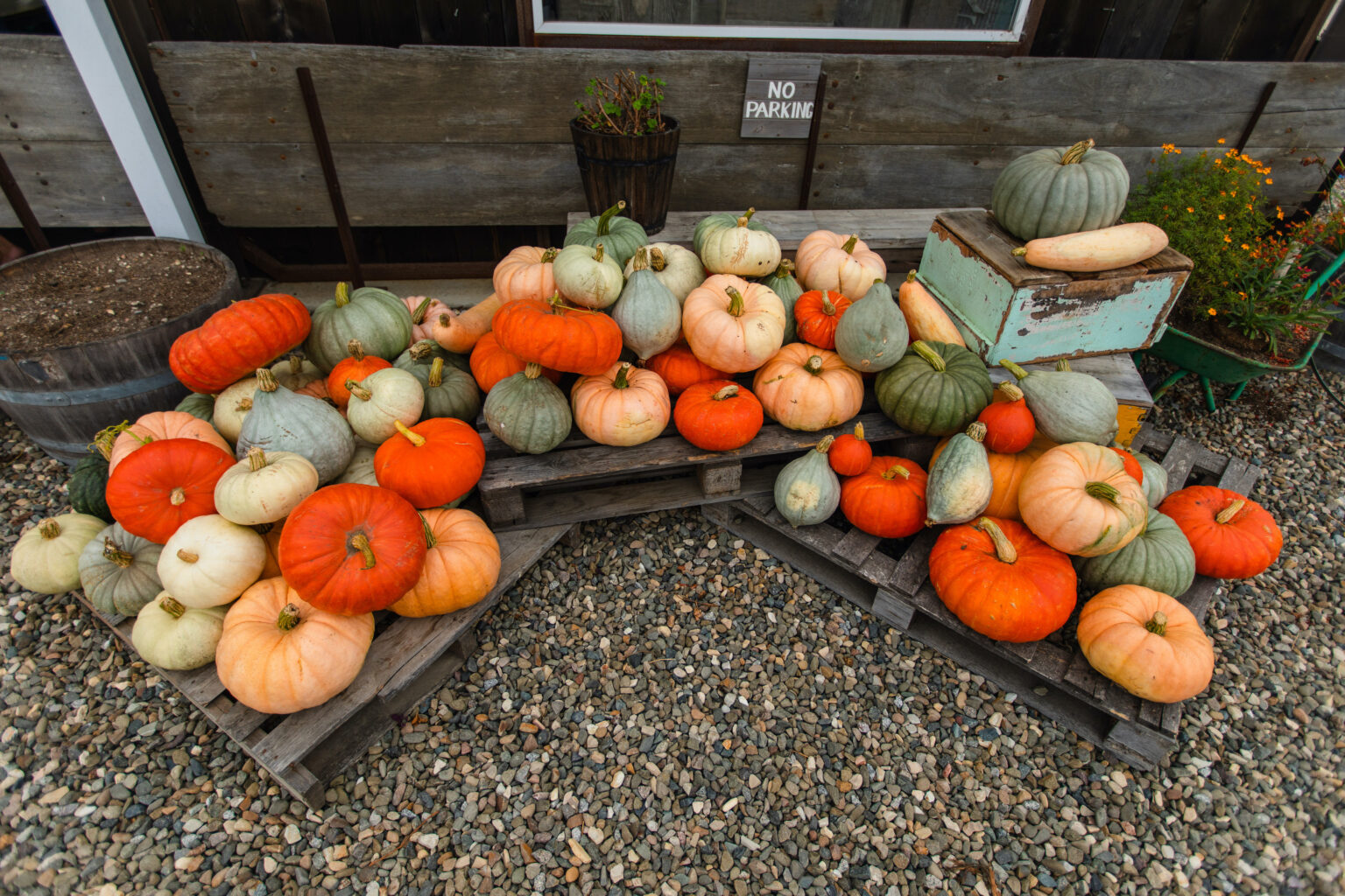 Feel the Spirit of Fall in Cambria - Visit Cambria | CA