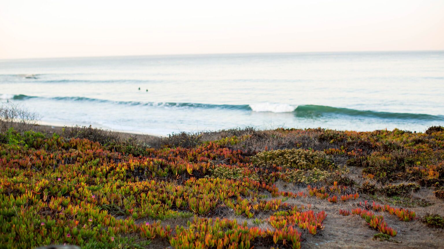 Feel the Spirit of Fall in Cambria • Visit Cambria | CA