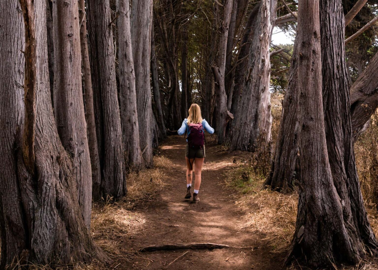 Exciting Things To Do in Cambria & the Central Coast • Visit Cambria | CA