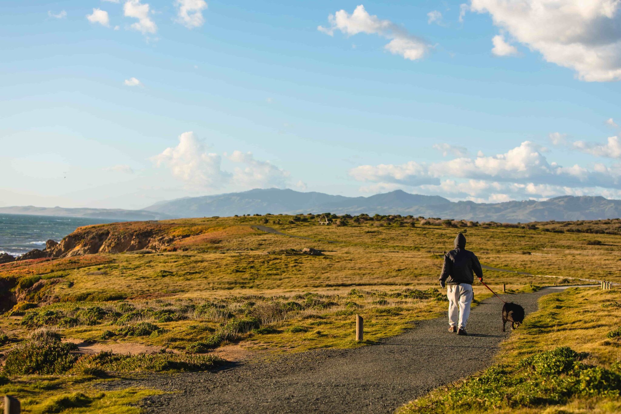 Exciting Things To Do in Cambria & the Central Coast • Visit Cambria | CA