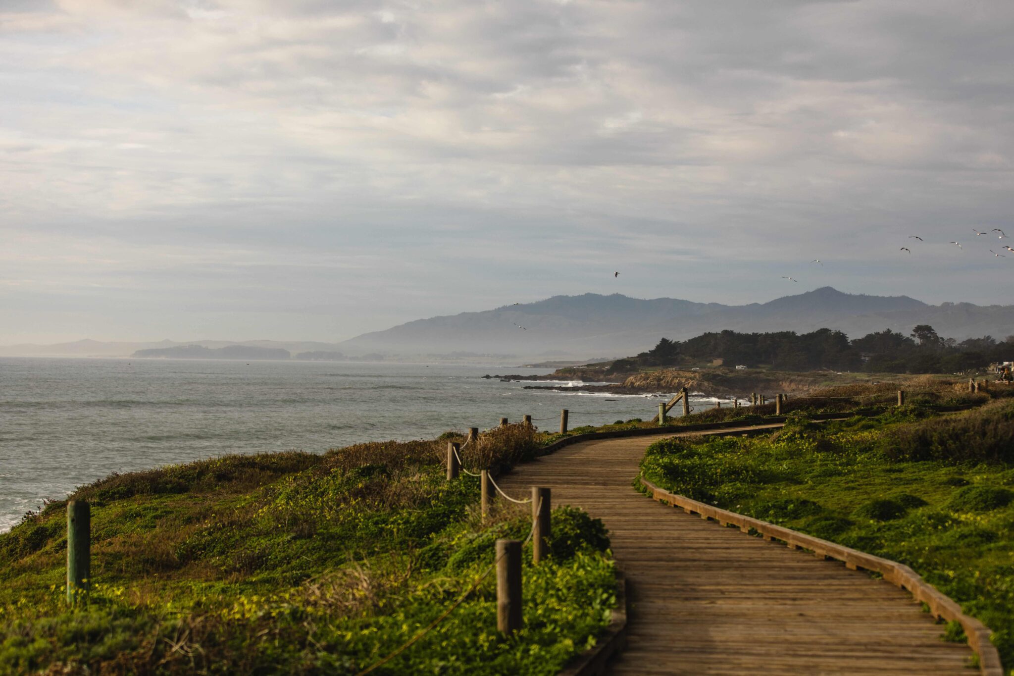 Blog - Visit Cambria | CA