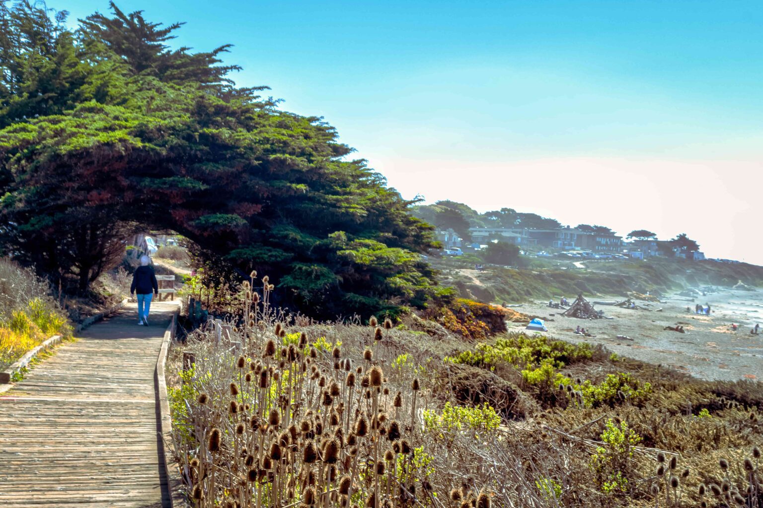 5 Hidden Gems to Discover in Cambria - Visit Cambria | CA