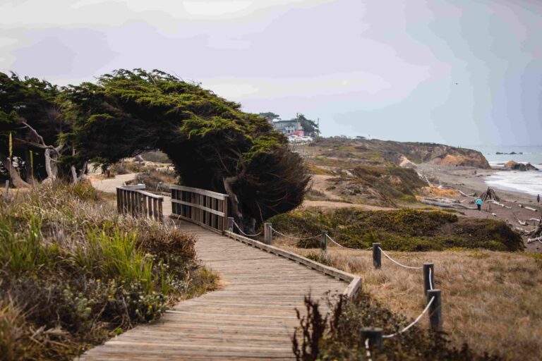 5 Hidden Gems to Discover in Cambria • Visit Cambria | CA