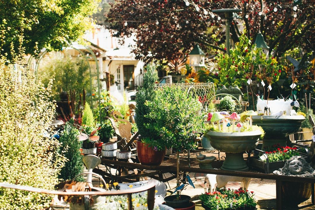 Plant & Flower Shops in Cambria, CA • Visit Cambria | CA