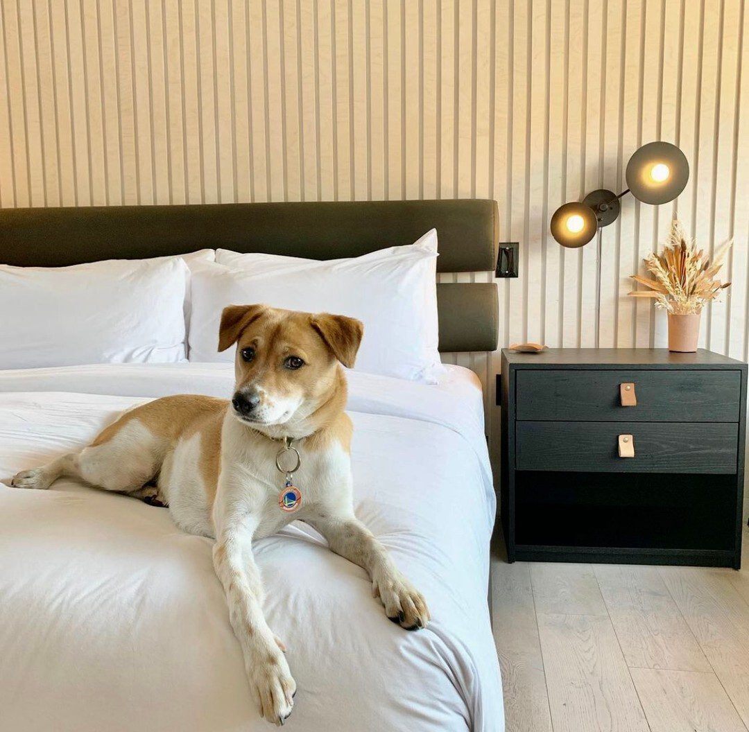 Fall Into the Magic of Cambria • Visit Cambria | CA