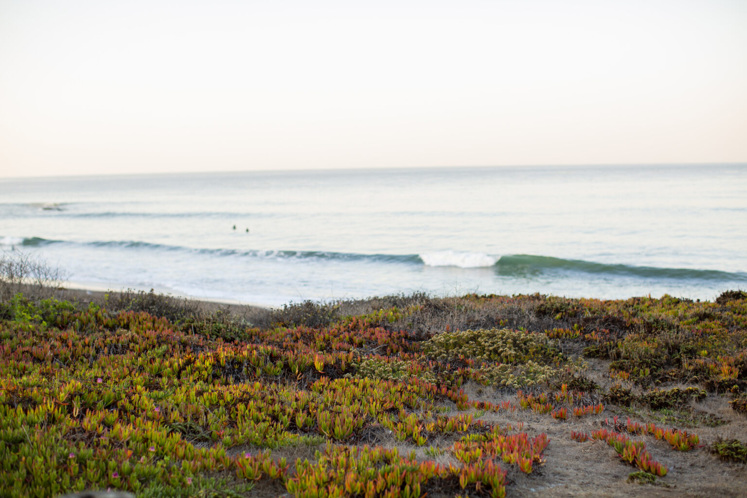 Blog - Visit Cambria | CA