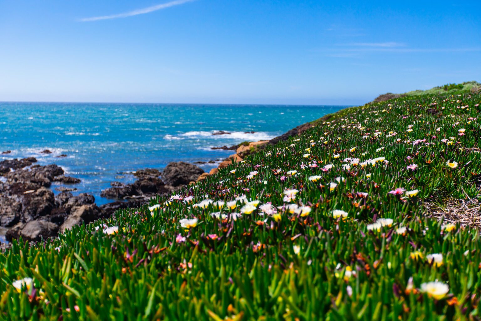 Itineraries • Visit Cambria | CA
