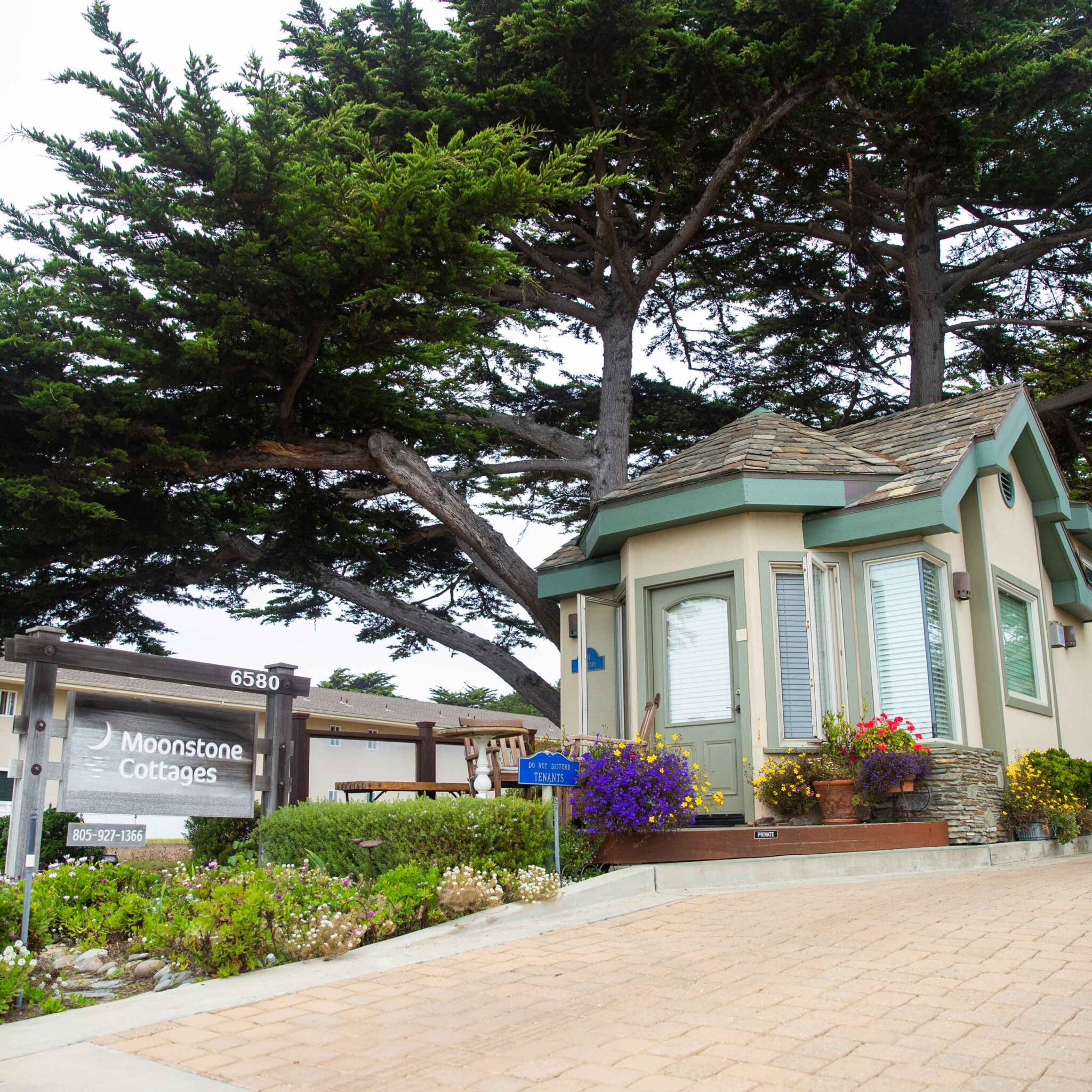 Lodging Specials Visit Cambria Ca