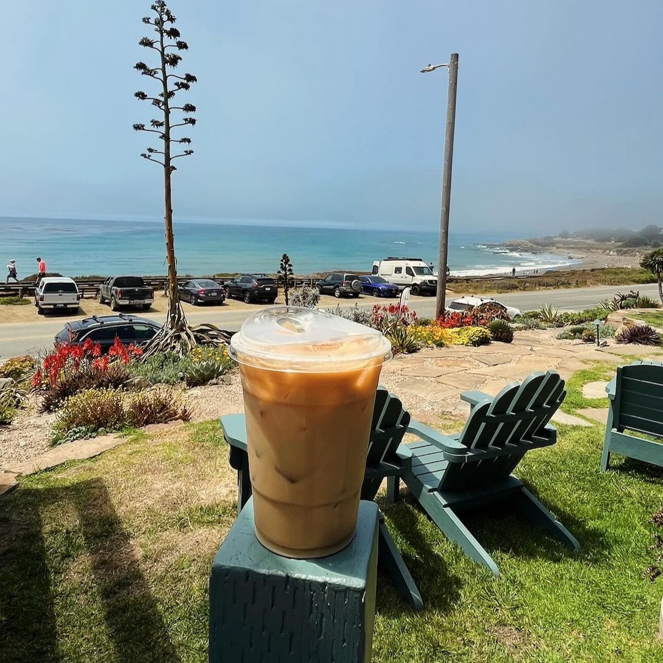 The Best Cups of Coffee in Cambria • Visit Cambria | CA